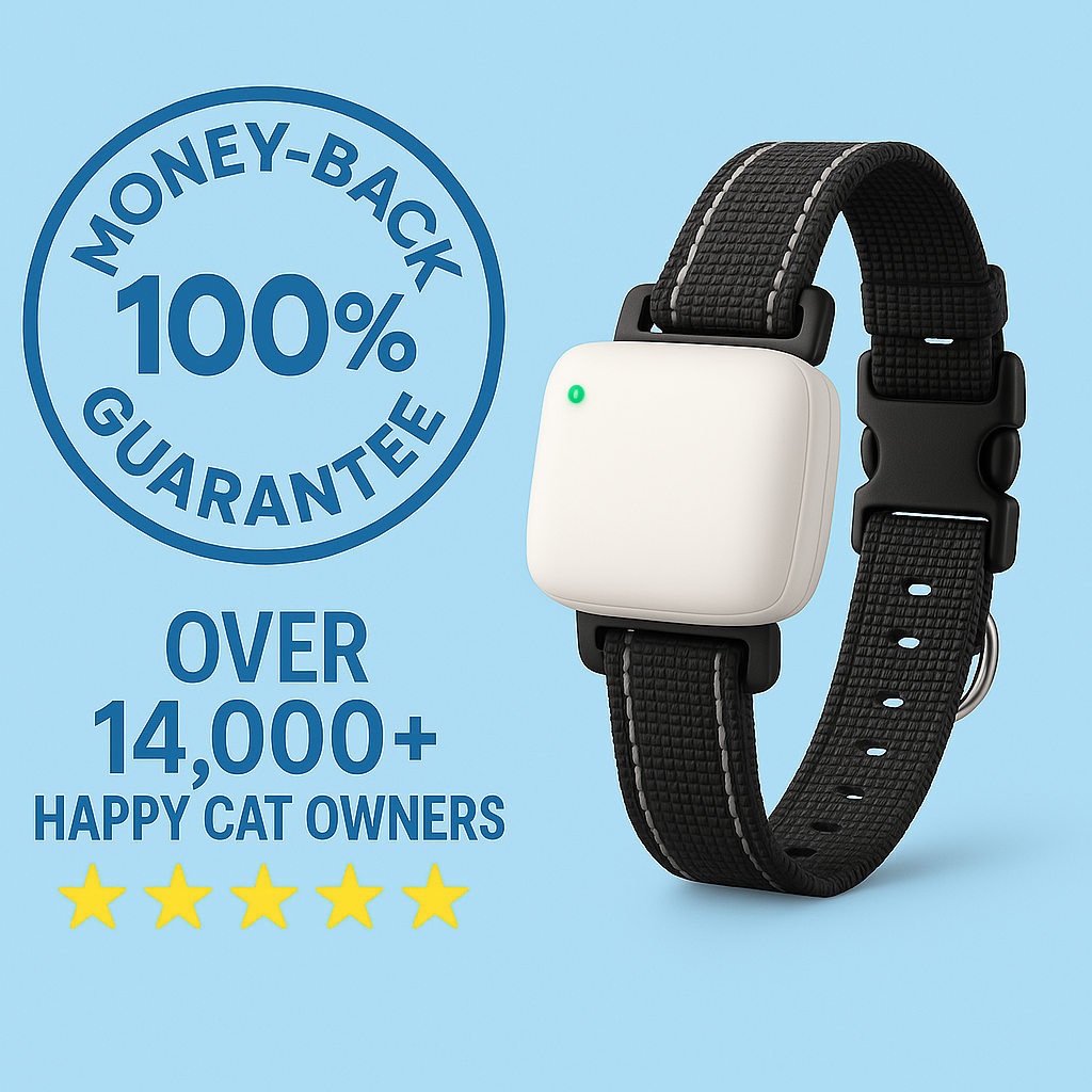Cat GPS – Osmo DE